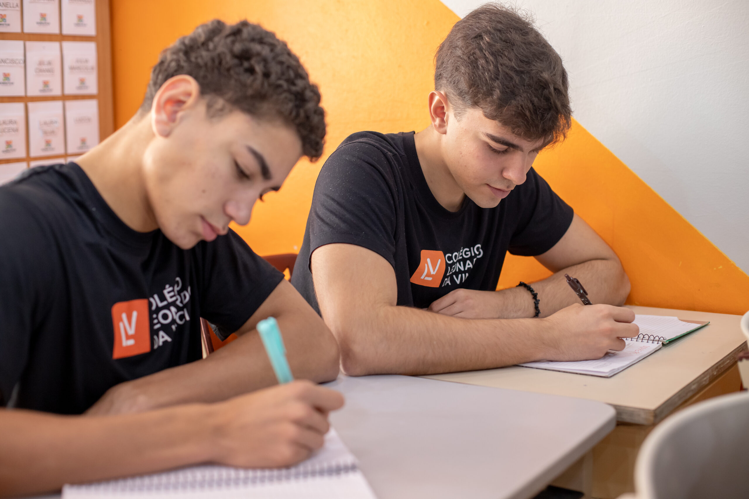 Leo Assessment - Leonardo Da Vinci